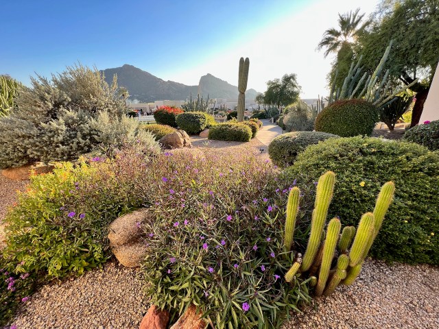 Review: JW Marriott Scottsdale Camelback Inn Resort and Spa, Arizona ...