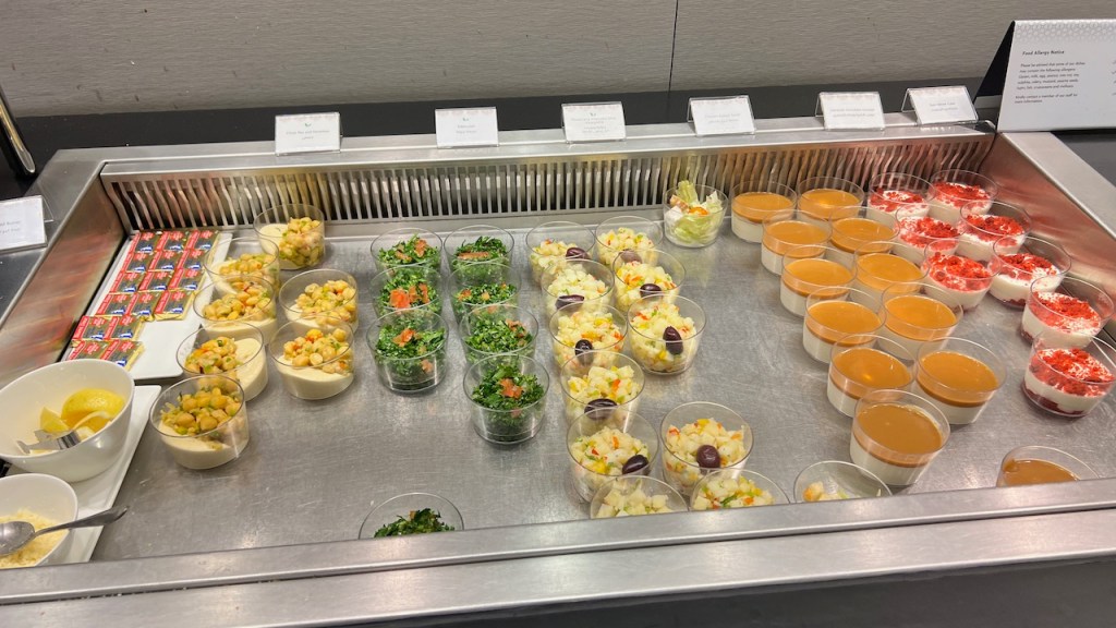 Review: Al Maha Lounge, Doha Hamad International Airport, Qatar | World ...