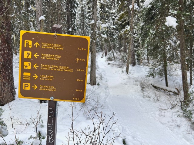 Winter Hiking the Lake Louise Fairview Lookout Trail, Banff National ...