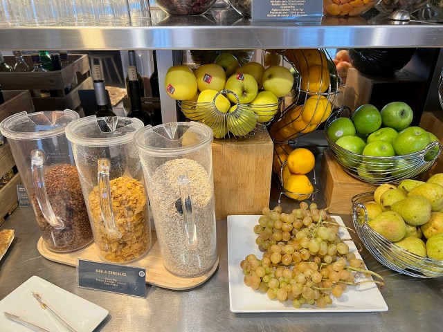 Review: The Canopy VIP Lounge, Nice, France | World Traveller 73